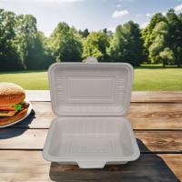 China Microwave Safe Disposable Square Plastic Lunch Boxes for Food Storage and Transportation for sale