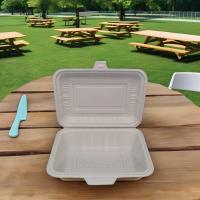 China Food grade PP Disposable Square Plastic Lunch Boxes Microwave Safe Food Containers for sale