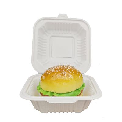 China Simplicity Style Biodegradable Disposable Food Container Square Plastic Lunch Boxes for sale