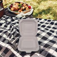 China Simplicity Style Biodegradable Disposable Food Container Square Plastic Lunch Boxes for sale