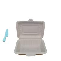China Microwave Safe Square Plastic Lunch Boxes Biodegradable Containers for Food Packaging for sale
