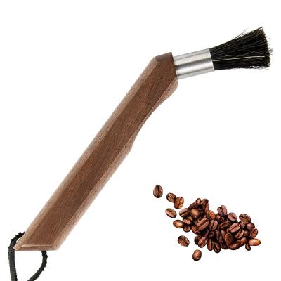 China Bedroom Essential Wooden Long Handle Bath Brush for Coffee Cup and Body Cleaning for sale