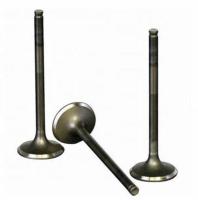China Car Parts Engine Valve for Mercedes Intake Valve OEM 5410500226 for sale