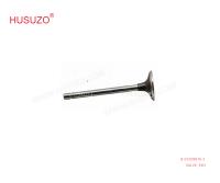 China 8-97209876-2 ISUZU6HK1 4HK1 8972098762 Exhaust Valve for sale