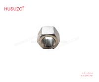 China 0911105160 0-91110516-0 Truck Chassis Parts Strg Unit Nut For ISUZU FVR33 6HH1 for sale
