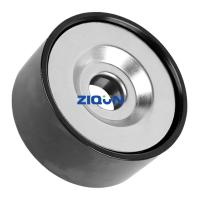 China Man Bearing Pulley Wheel 51958006099 Automatic Belt Tensioner for sale