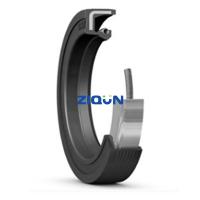 China FKM FB Medical Equipment  TC Skeleton 0.05MPa Double Lip Oil Seal for sale