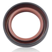 China TG Skeleton Rubber Oil Seal for sale