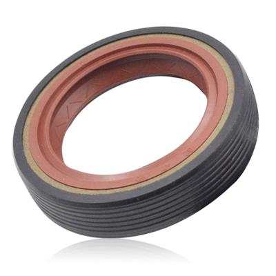 China TG Skeleton Rubber Oil Seal for sale