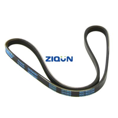 China 128038 Citroen Peugeot Truck Spares Parts Ribbed Belt for sale
