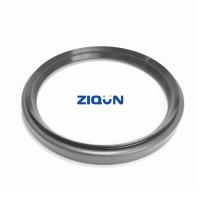 China 1678039 279576 291076 Rubber Oil Seals for sale