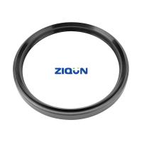 China 1678039 279576 291076 Rubber Oil Seals for sale
