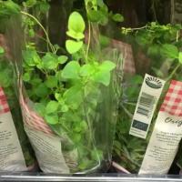 China Custom Printing Clear BOPP Film Sleeves For Flower And Plants Wrapping for sale