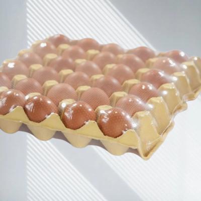 China Openresty Server Micro Perforated Polyolefin Shrink Film for Improved Product Freshness for sale