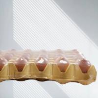 China Egg Tray POF Shrink Wrap Film Micro Perforated Polyolefin Heat Shrink Wrap Film Shrink POF Film for sale