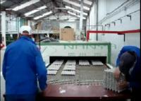 China EW1200-A Automatic Paper Egg Carton Making Machine - 1400pcs/Hour Capacity with 70kW Power Consumption for sale