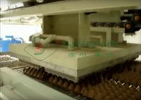 China Reciprocating Full Auto Paper Molding Pulp Egg Carton Machine with 2800PCS/H for sale