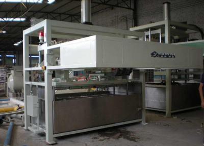 China Reciprocating Full Auto Paper Molding Pulp Egg Carton Machine with 2800PCS/H for sale