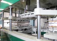 China Auto Paper Pulp Molded Lunch Box / Disposable Kitchenware Making Machine 1500Pcs/ H for sale