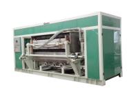 China Fully - Auto Egg Tray Production Line Single Layer Drying Line 6000Pcs/H for sale