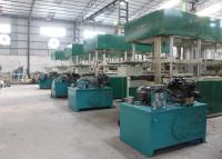 China Virgin Paper Pulp Molding Equipment Electricity 1500 - 15000Pcs / H for sale