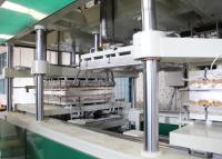 China Virgin Paper Pulp Molding Equipment Electricity 1500 - 15000Pcs / H for sale