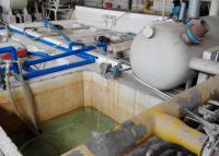 China CE Approved Paper Plate Making Machine Paper Plates Forming Machinery for sale