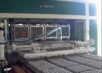 China Full Auto Moulded Pulp Egg Tray Production Line for Cup Holder / Paper Tray for sale