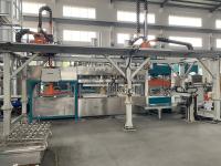 China 270kg/h Virgin Pulp Plate Making Machine with 1600m² Workshop Capacity for Tableware Production for sale