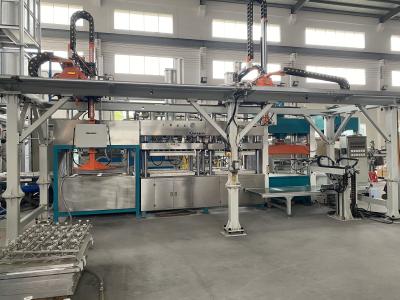 China 270kg/h Virgin Pulp Plate Making Machine with 1600m² Workshop Capacity for Tableware Production for sale