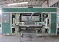 China Waste Paper Rotary Egg Pulp Molding Equipment with Single Layer Dryer for sale