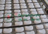 China Fully Automatic Kidney Tray Making Machine CZ040-4000 | 15000-17000 pcs/hour Capacity | 180 kW Power for sale