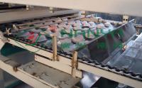 China Fully Automatic Kidney Tray Making Machine CZ040-4000 | 15000-17000 pcs/hour Capacity | 180 kW Power for sale