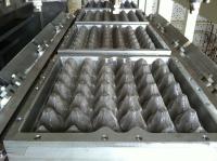 China 30 Cavities Plastic Egg Tray Dies with Aluminum CNC Moulds for Paper Egg Box Production for sale