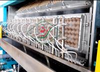 China High Automation Rotary Egg Tray Forming Machine / Egg Carton Production Line for sale