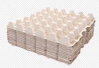 China Paper Molding Pulp Egg Tray Shoe Tree Egg Box  Making Machine Simens for sale