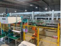 China Fully Automatic Sugarcane Pulp Molded Servo Drive Forming Machine With Big Capacity  6000pcs/h for sale