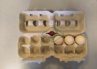 China Aluminum 12 Seats CNC Pulp Mold for Egg Cartons - 15-25 Day Delivery with 1 Year Warranty for sale