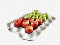 China Recycle Paper Tray Egg Tray Coffee Tray Shoe Tray Automated Making Machines Vacuum Adsorption Forming New Business for sale