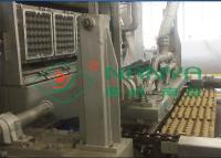 China Automatic Rotary Egg Tray / Egg Carton Making Machine High Output Pulp Molded for sale