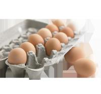 China 15 Tons Egg Box / Cup - Holder Paper Pulp Moulding Machine for sale