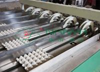 China Large Capacity Pulp Molding Equipment 3000-6000pcs/hr Egg Tray Production Line with CE Certification for sale