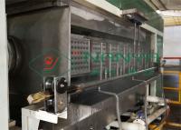 China Large Capacity Pulp Molding Equipment 3000-6000pcs/hr Egg Tray Production Line with CE Certification for sale