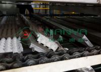 China Large Capacity Pulp Molding Equipment 3000-6000pcs/hr Egg Tray Production Line with CE Certification for sale