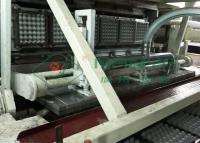 China High Capacity Rotary Paper Egg Tray / Medical Tray Making Machinery for sale