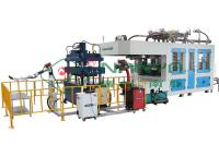 China Virgin Paper Pulp Molding Euipment Food Plate / Lunch Box Machine for sale