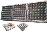 China 30 Holes High Precision Egg Tray Pulp Moulding Dies - Aluminum Construction with 8+ Year Lifespan for sale