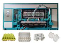 China ER6000-B Eco Friendly Fiber Pulp Egg Tray Machinery - 6000 pcs/hour Capacity with CE Certification for sale