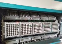 China Fully Automatic Recycle Paper Egg Tray Machine for sale
