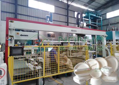 China Semi Automatic Paper Pulp Molding Machine for Biodegradable Plates - 900×600mm to 1100×800mm Mould Size, 15-35kg/h Capacity for sale